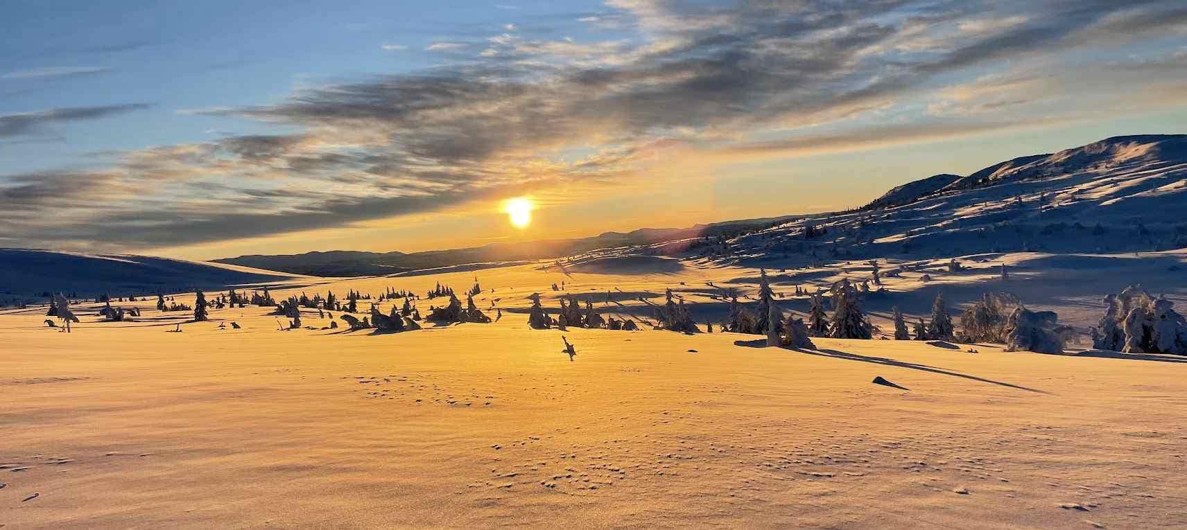 will a Dutch startup’s plan to restore Arctic sea-ice work?